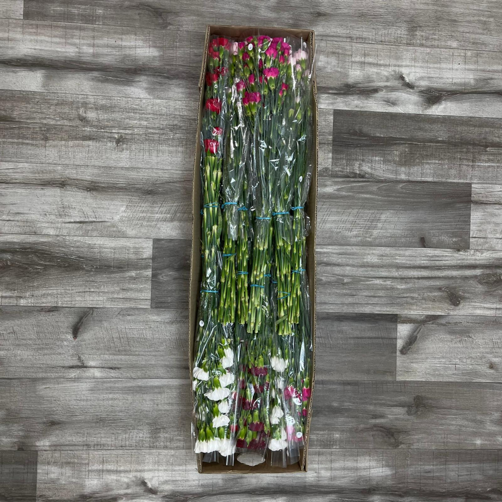 Carnation Mini Assorted Box 200 stems - FlowersAndServices® Nationwide