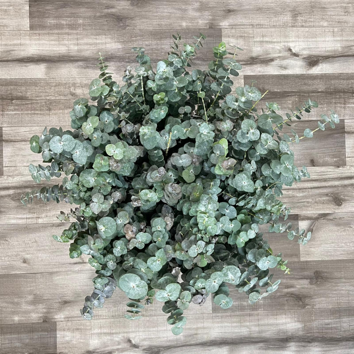 Solidaster Box 180 Stems - FlowersAndServices® Nationwide