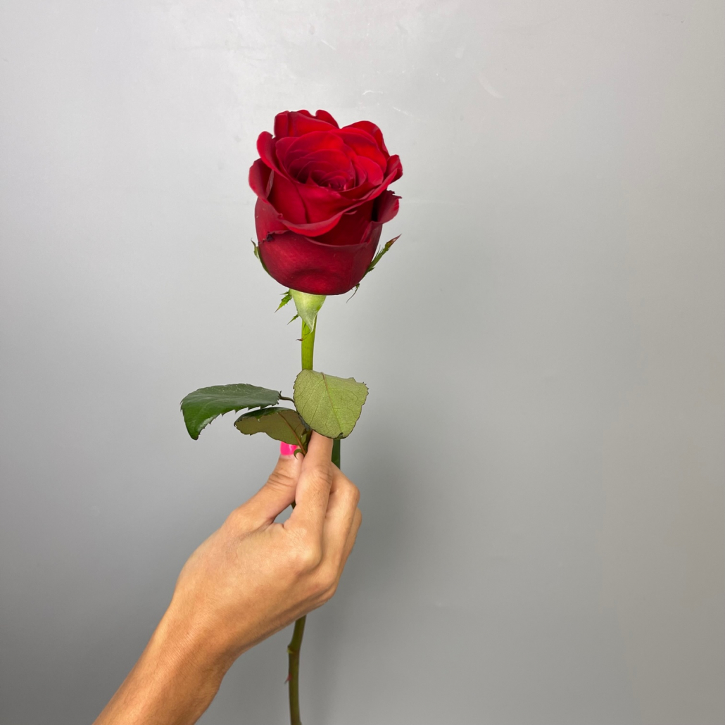 Red Roses, Greenery and Baby Eucalyptus Combo - FlowersAndServices ...