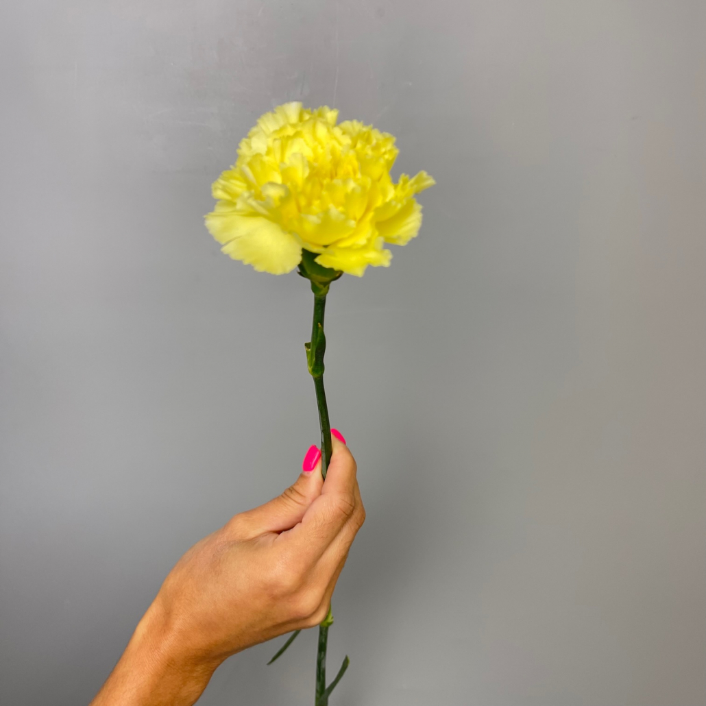 Red Roses, Yellow and Orange Carnations, and Greenery Combo ...