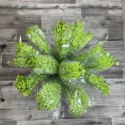 Solidaster Box 180 Stems - FlowersAndServices® Nationwide