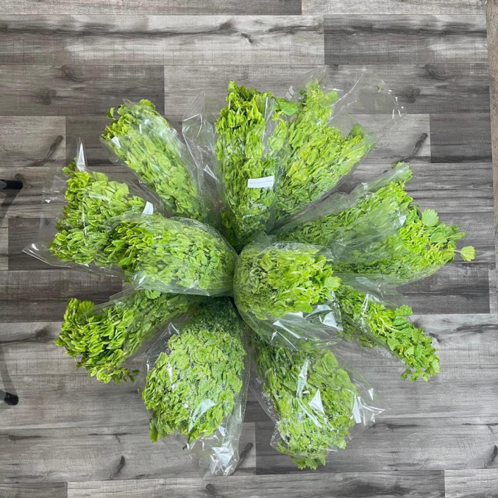 Solidaster Box 180 Stems - FlowersAndServices® Nationwide