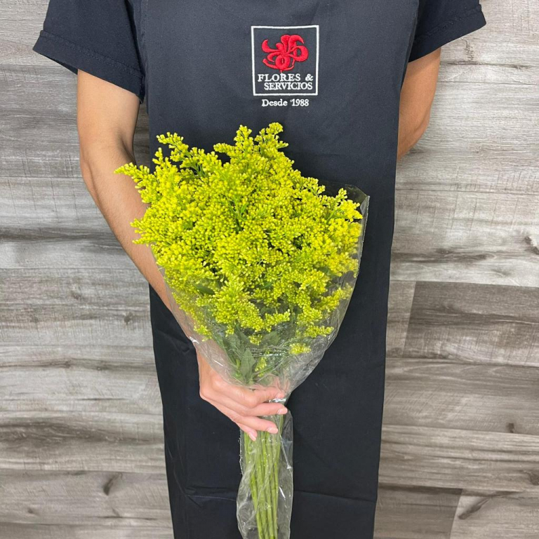 Solidaster Box 180 Stems - FlowersAndServices® Nationwide