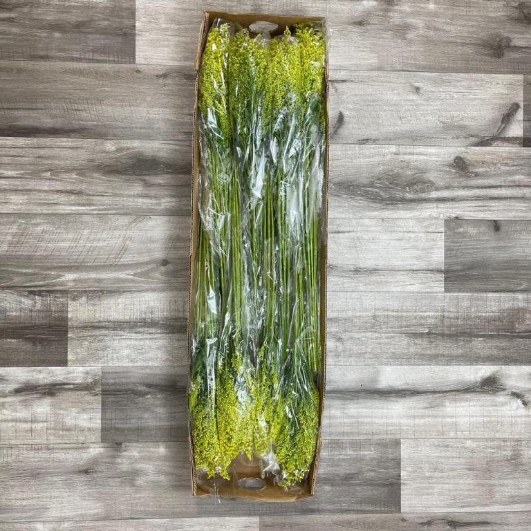 Solidaster Box 180 Stems - FlowersAndServices® Nationwide