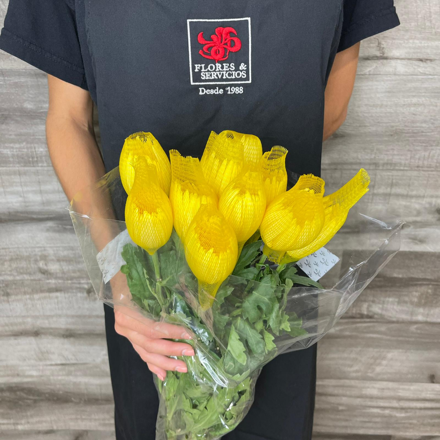 Fuji (Mums) Assorted Box 90 Stems - FlowersAndServices® Nationwide