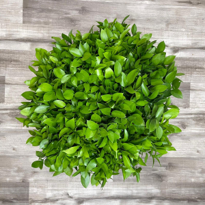 Solidaster Box 180 Stems - FlowersAndServices® Nationwide