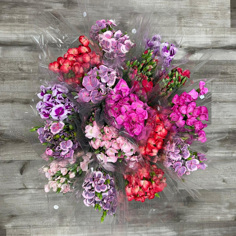 Solidaster Box 180 Stems - FlowersAndServices® Nationwide