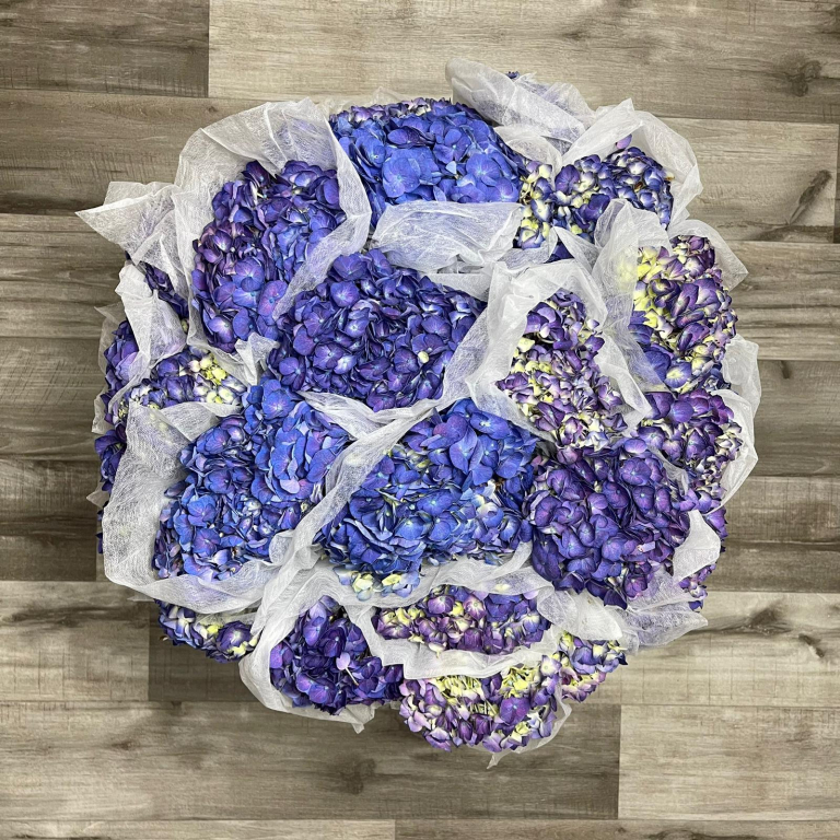 Solidaster Box 180 Stems - FlowersAndServices® Nationwide