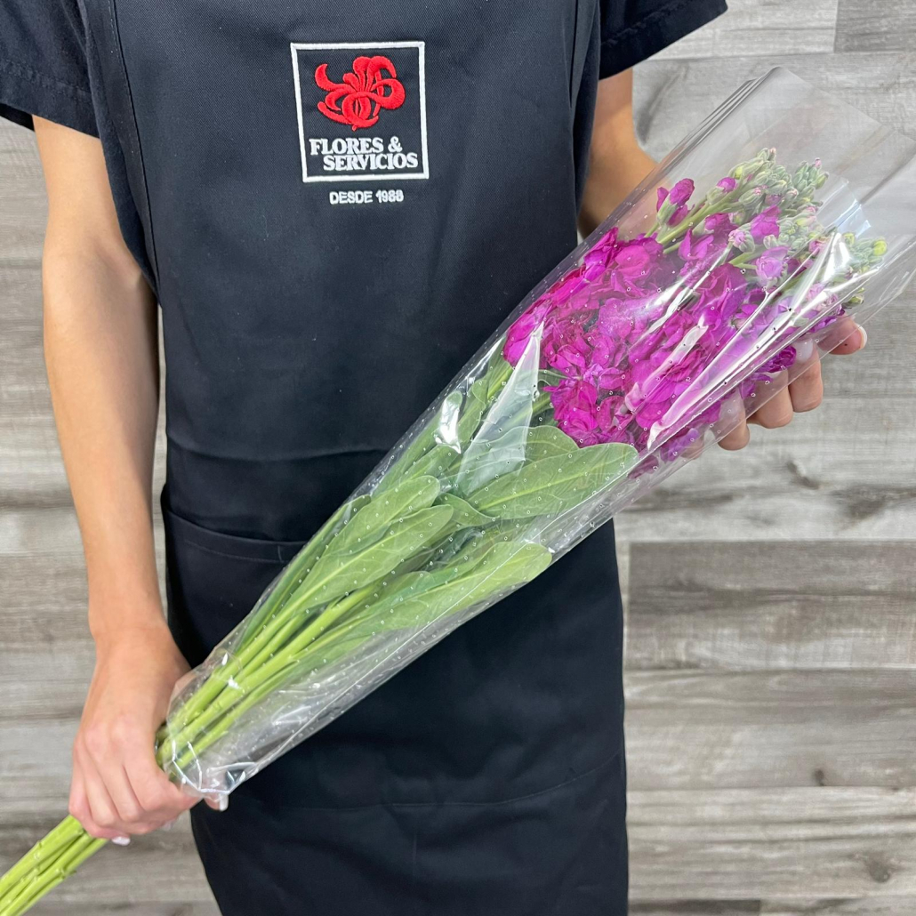 Stock Assorted Box 120 Stems - FlowersAndServices® Nationwide