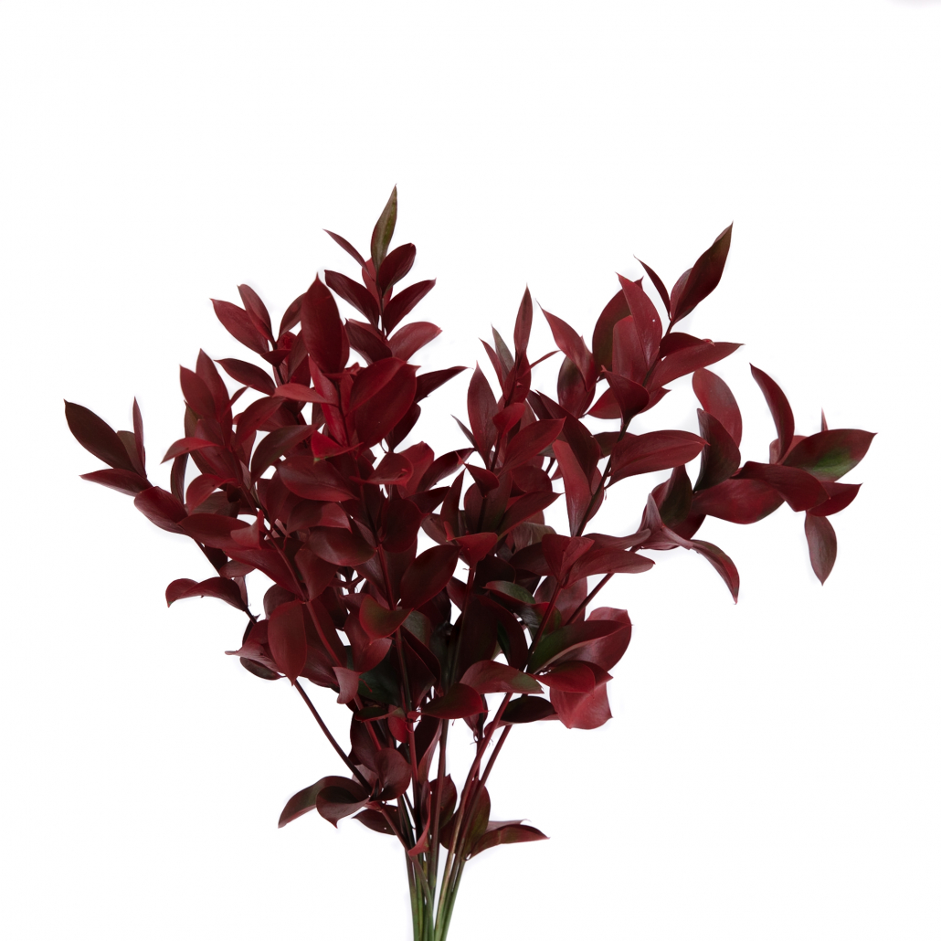 Raffine Red - Flowers & Services