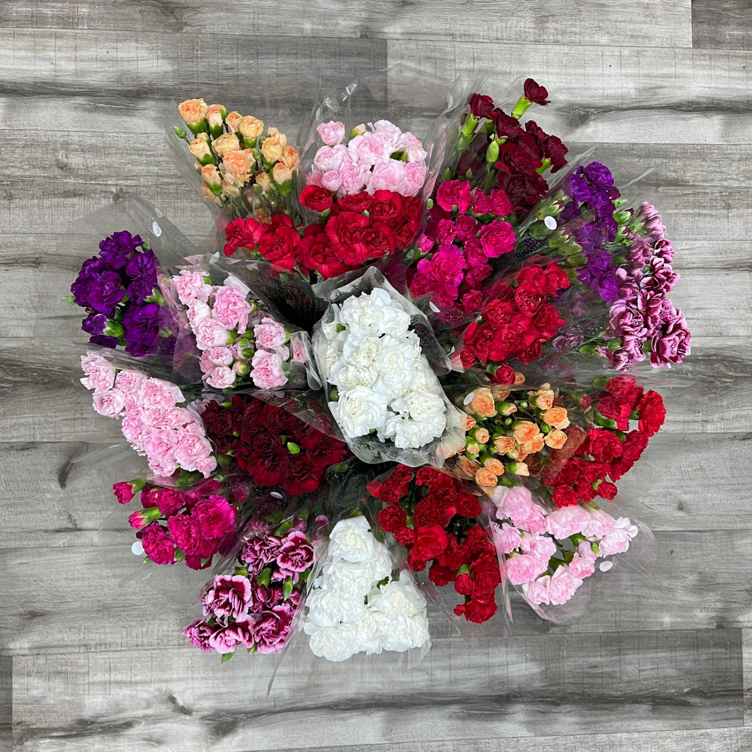 Cymbidium Assorted Box 10 Stems - FlowersAndServices®