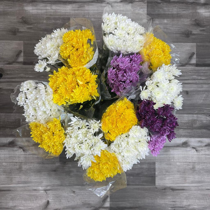 Daisy Assorted Box 98 Stems - Flowers & Services