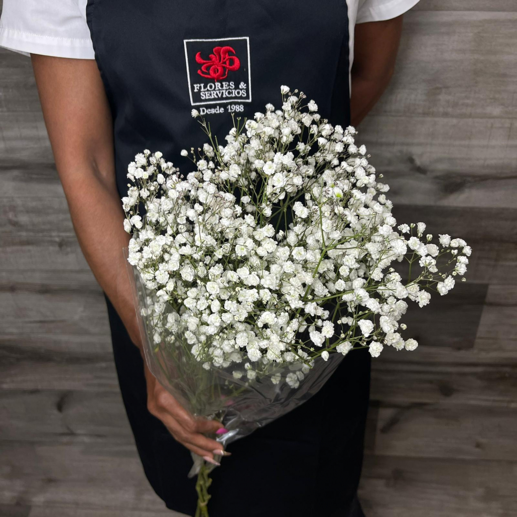 Baby's Breath Box 48 Stems - Flowers & Services