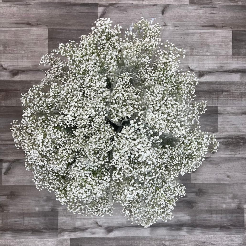Baby's Breath Box 48 Stems - Flowers & Services