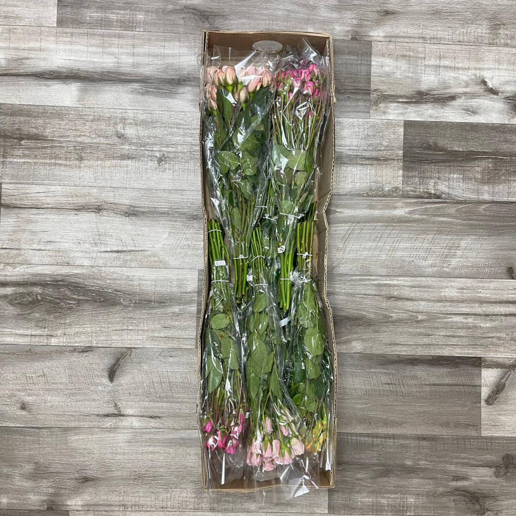 Mini Roses Assorted Box 120 Stems - Flowers & Services