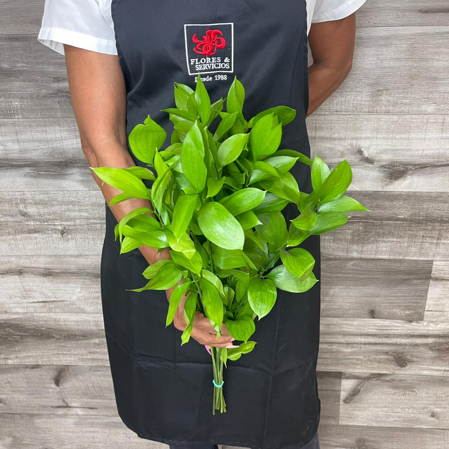 Ruscus Israeli Box 400 Stems - Flowers & Services