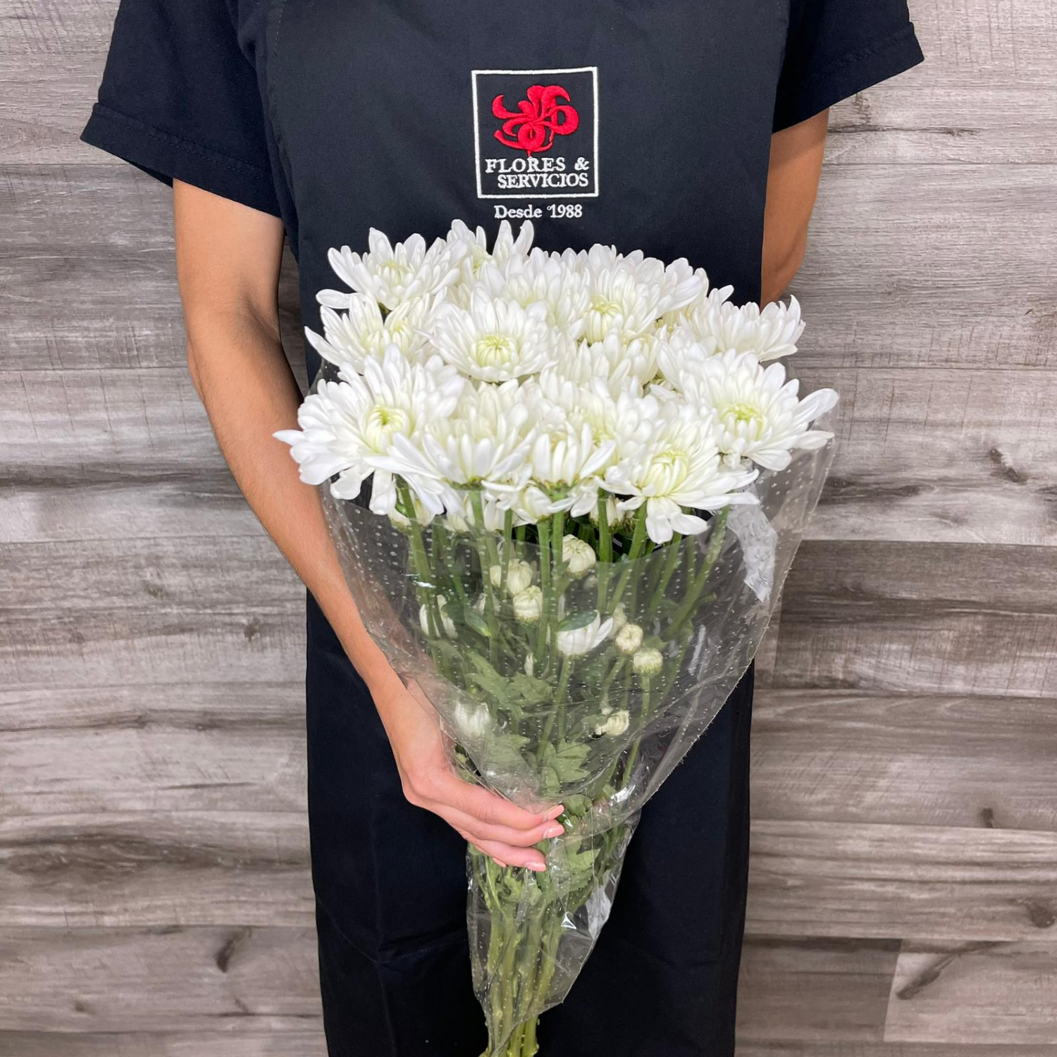 Daisy Assorted Box 98 Stems - Flowers & Services