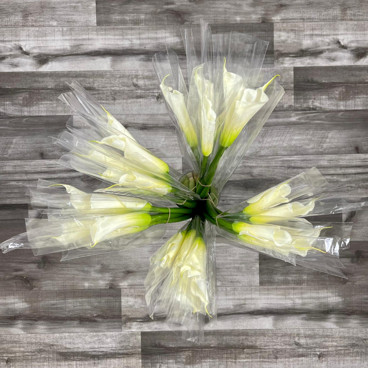 Calla Lily Box 30 Stems - Flowers & Services