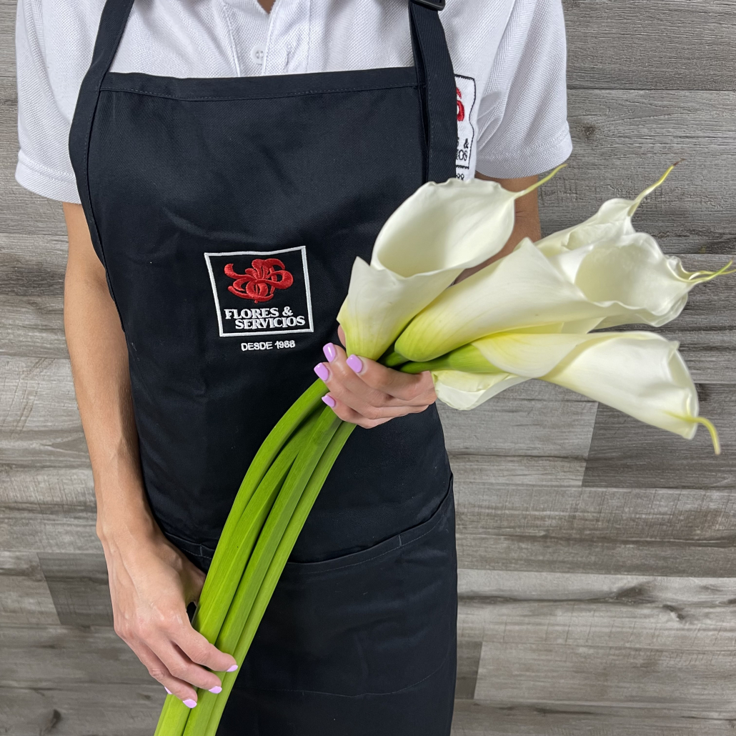 Calla Lily Box 30 Stems - Flowers & Services