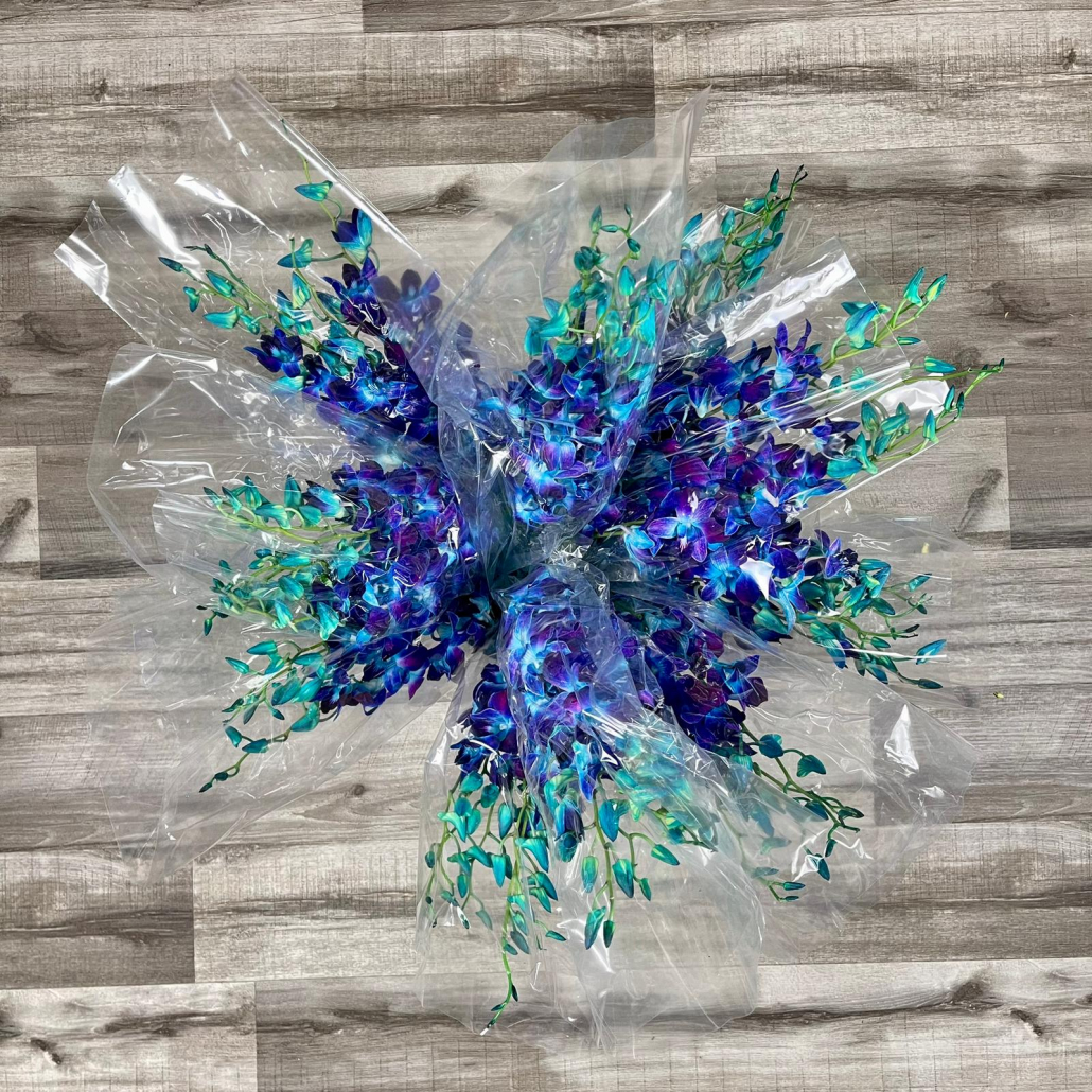 Dendrobium Blue Box 70 Stems - Flowers & Services