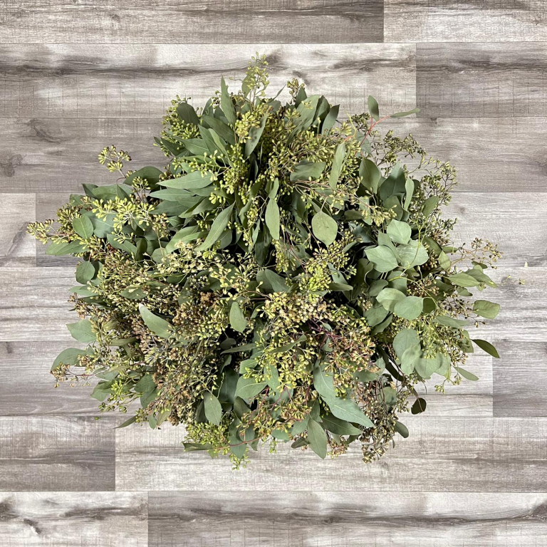 Eucalyptus Seeded Box 10 Bunches - Flowers & Services