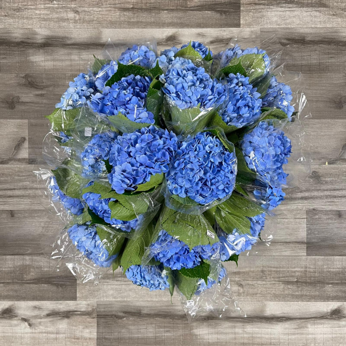 Hydrangea Shocking Blue Box 30 Stems - Flowers & Services