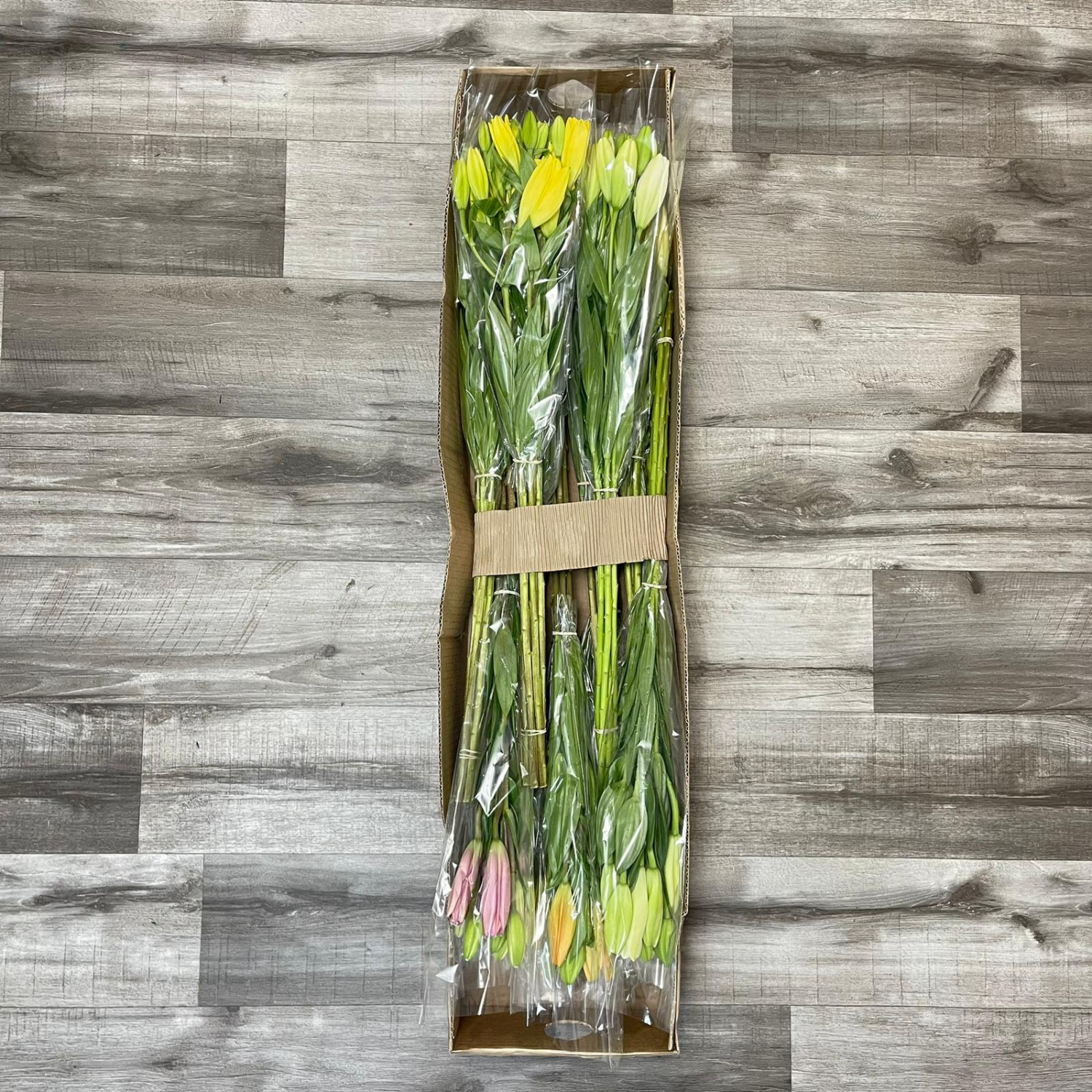 Lily Asiatic Assorted Box 70 Stems - Flowers & Services