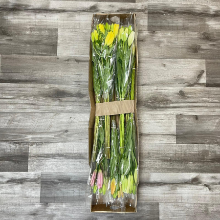 Lily Asiatic Assorted Box 70 Stems - Flowers & Services