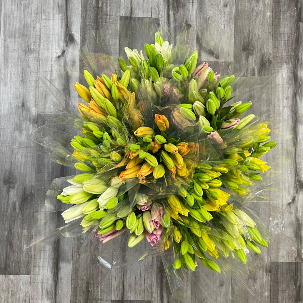 Lily Asiatic Assorted Box 70 Stems - Flowers & Services