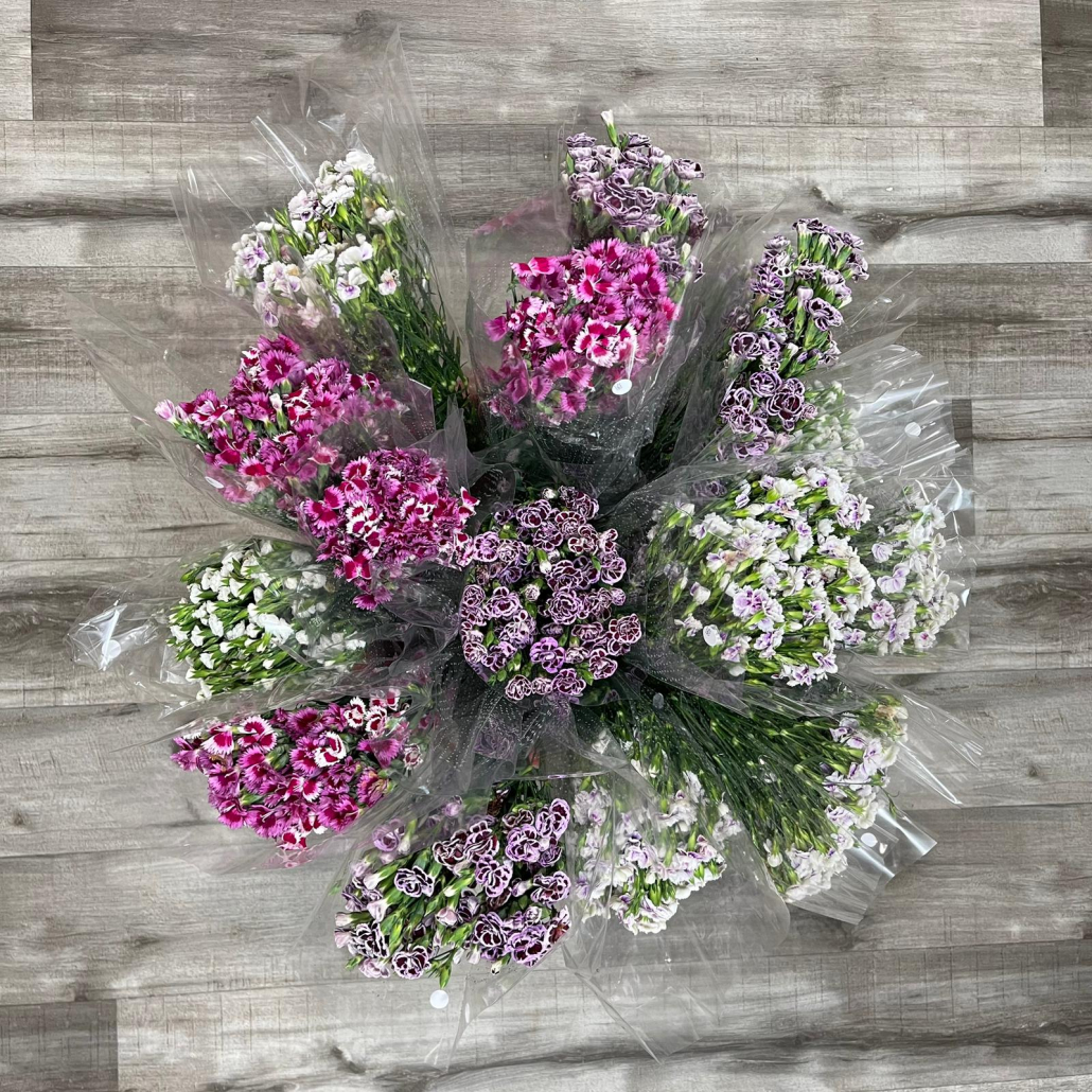 Carnation Assorted Box 204 Stems - FlowersAndServices®