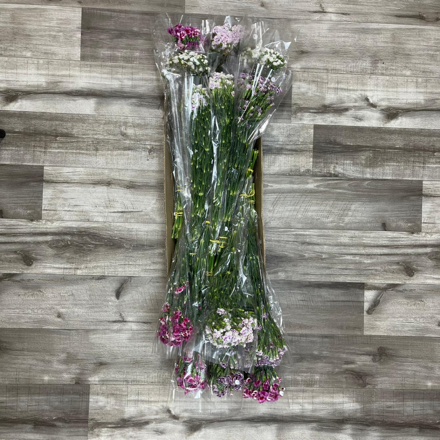 Raffine Assorted Box 200 Stems - Flowers & Services