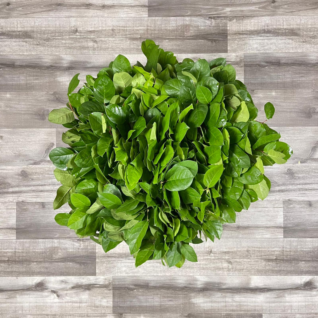 Salal Tip Leaf Box 25 packages - Flowers & Services