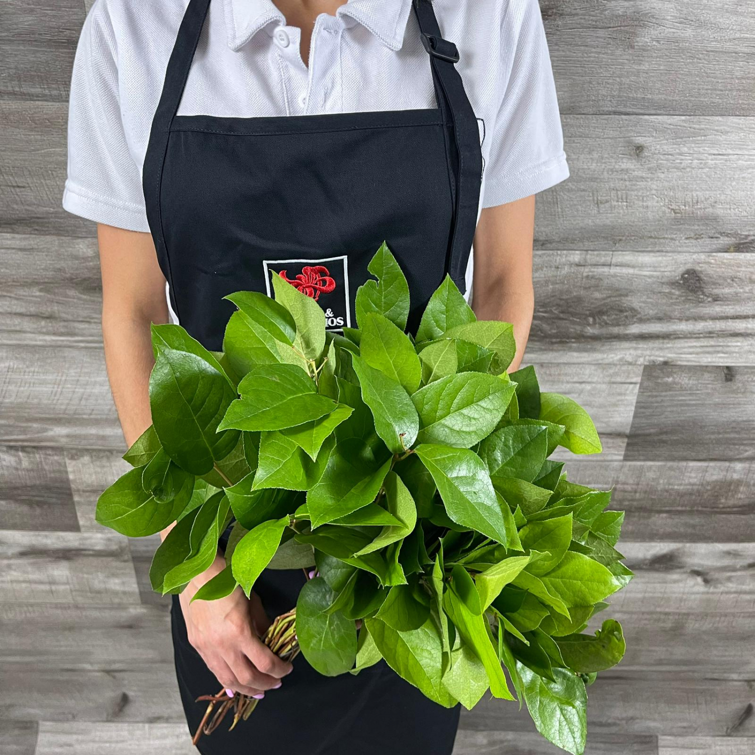 Salal Tip Leaf Box 25 packages - Flowers & Services