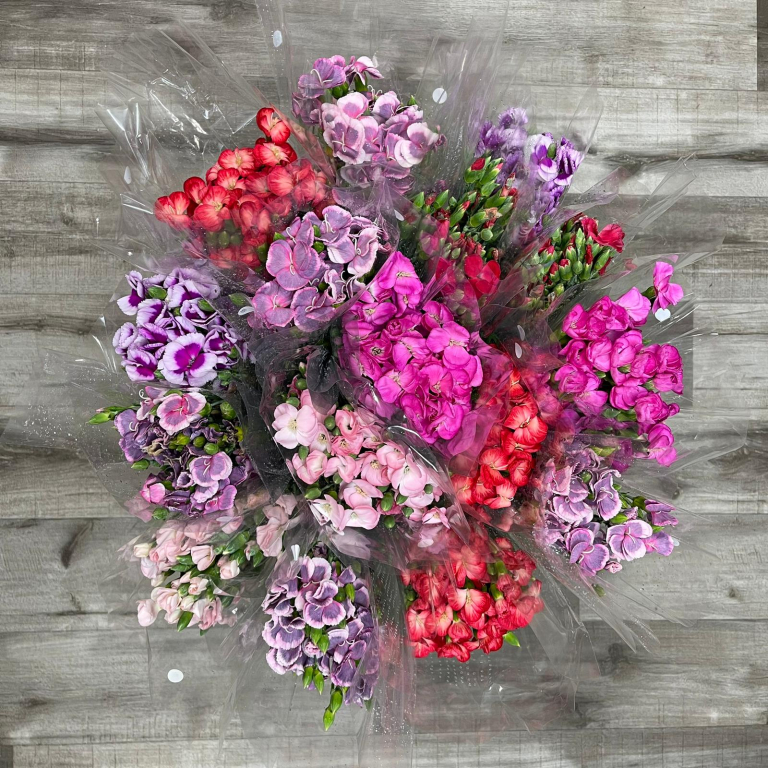 Solomio Assorted Box 200 Stems - Flowers & Services