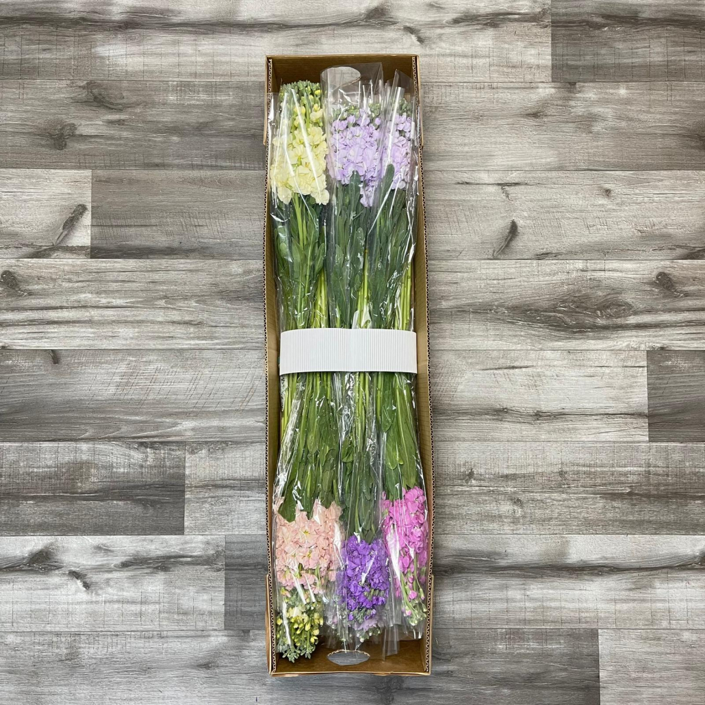 Stock Assorted Box 120 Stems - Flowers & Services