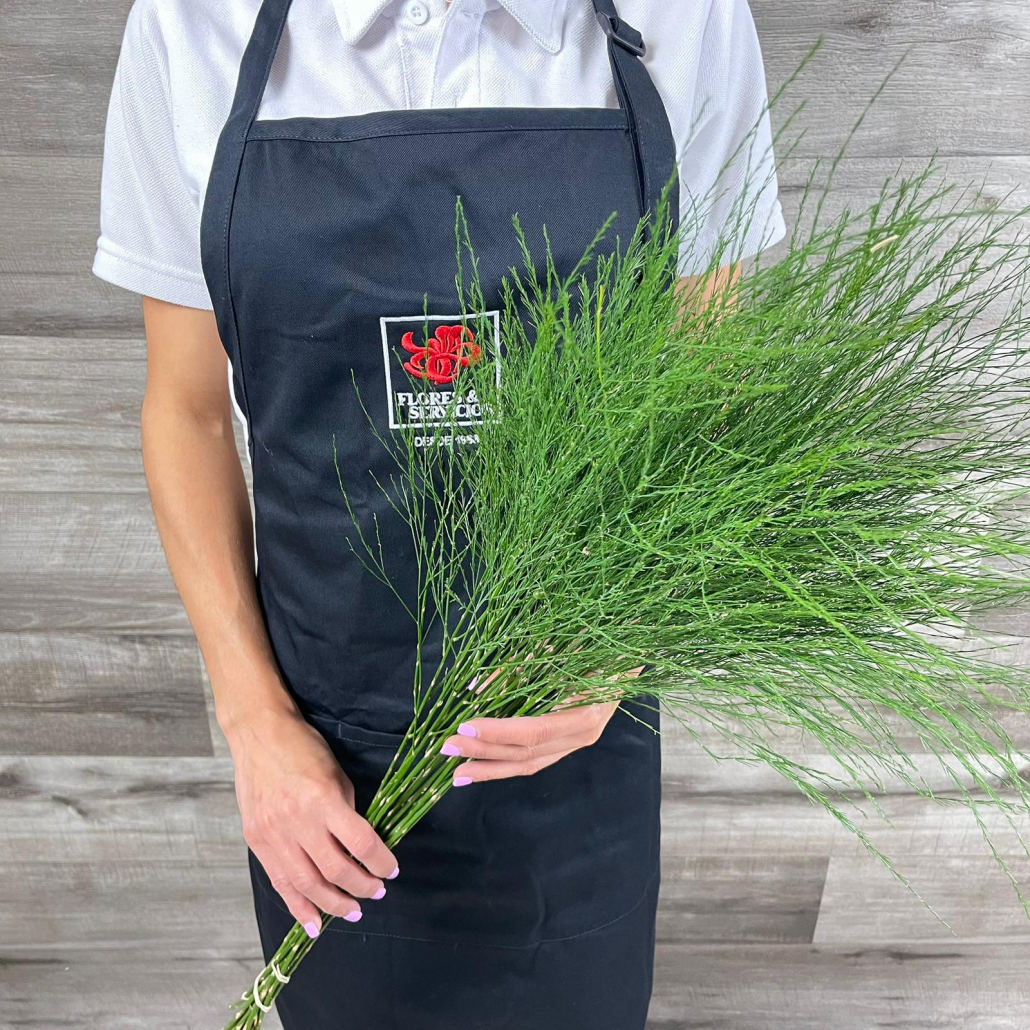 Tree Fern Box 200 Stems - Flowers & Services