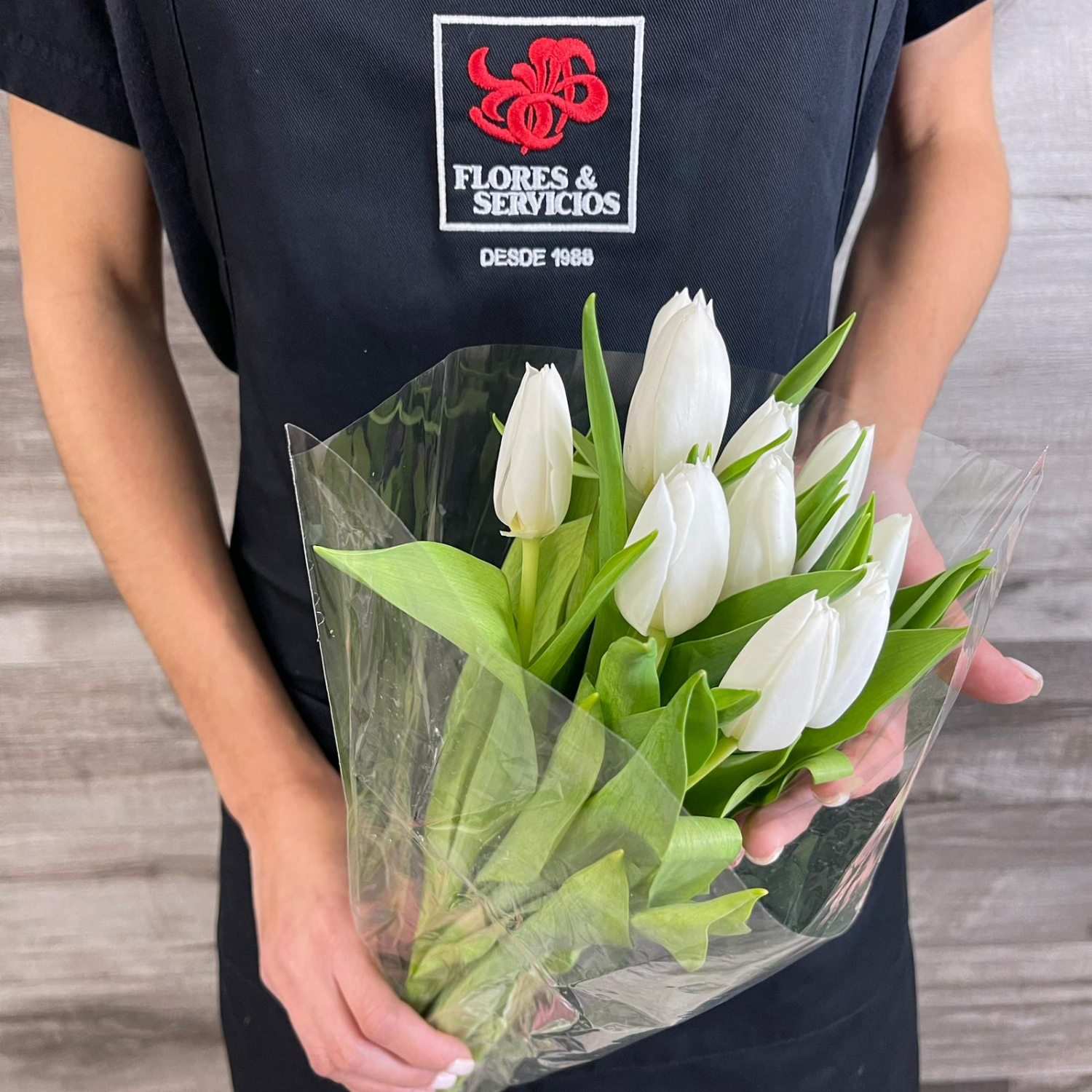 Tulips Assorted Box 240 Stems - Flowers & Services