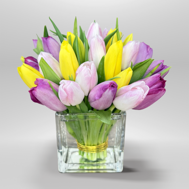 Tulip Delight - Flowers & Services