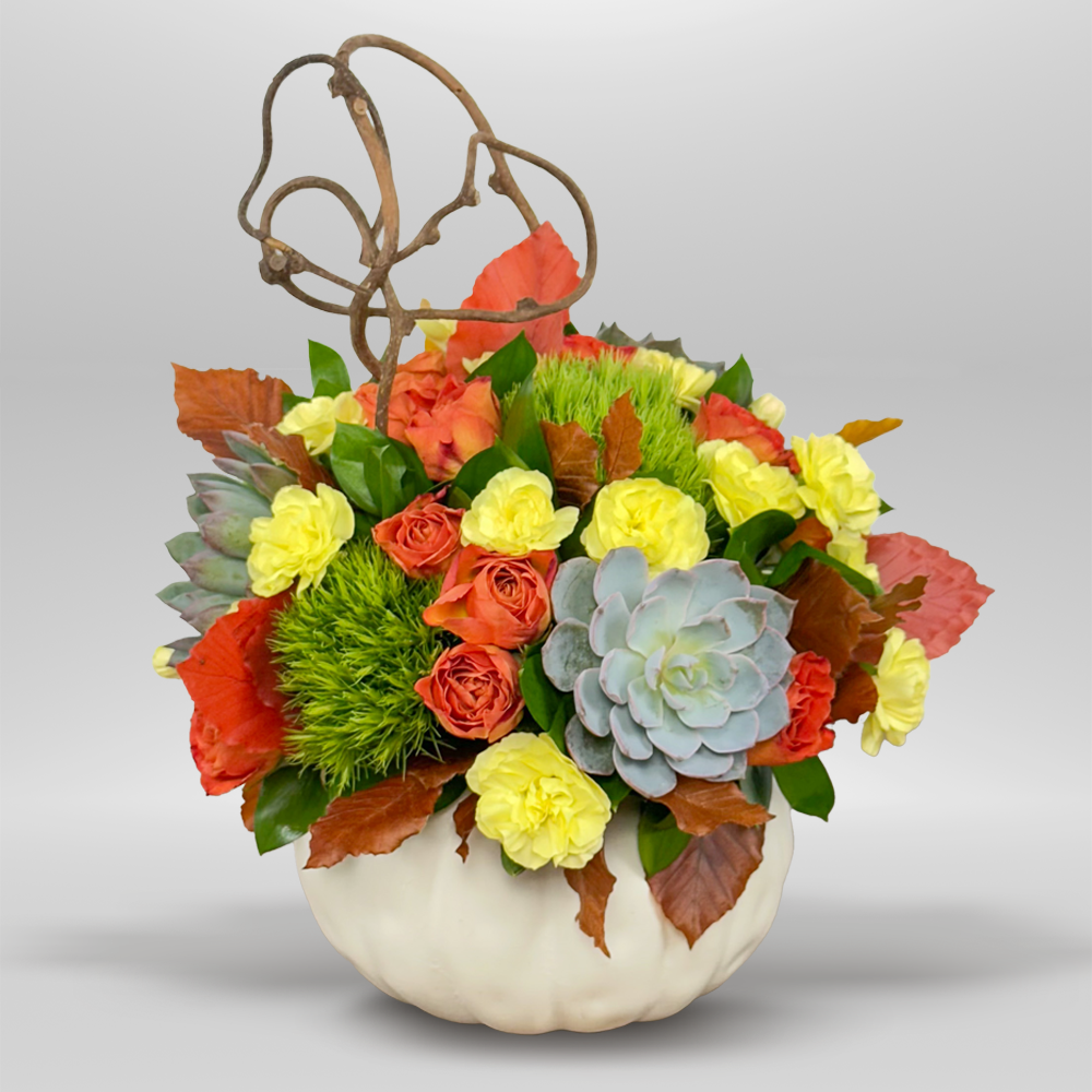 Ivory Pumpkin Bloom - Flowers & Services